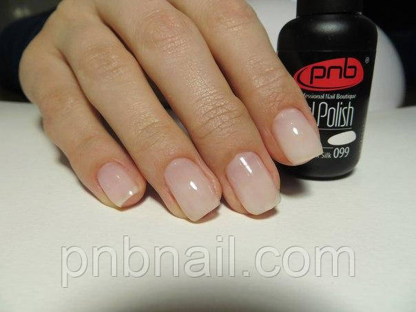 Гель-лак PNB 8 мл Milk Silk 099 ( молочный ): продажа, цена в Киевской ...