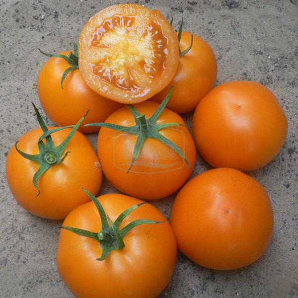 Томат ХУРМА, 30с от интернет-магазина "Сад Бокс"