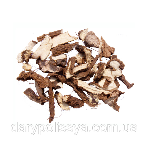 Лопух Великий 50г, Рівне, Дари Полісся, ЛЮБОР. тел 097-33-22-946 ...