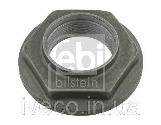 Купити Гайка хвостовика заднього моста Iveco Trakker EuroTrakker Івеко ...