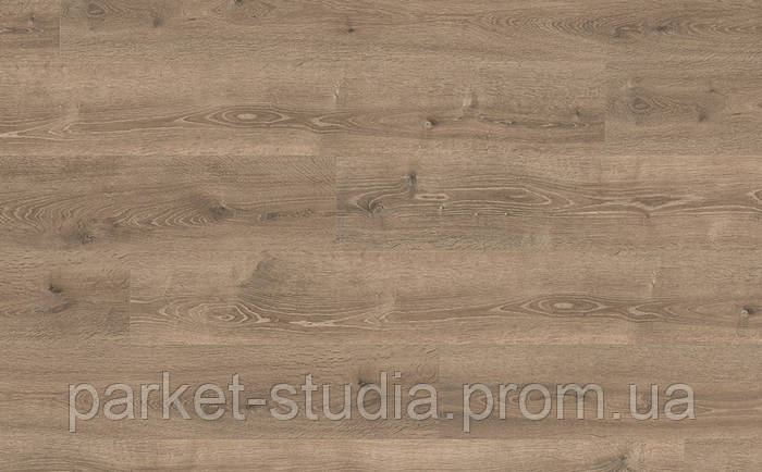 Купити Ламінат Egger PRO Long Дуб Бейфорд сірий, ціна - Prom.ua (ID# 649378543)