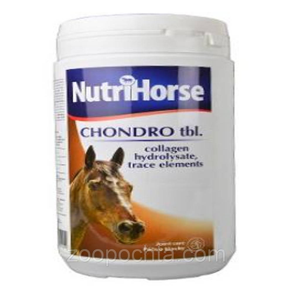 Купить Канвит (Canvit) НУТРИ ХОРСЕ ХОНДРО (NutriHorse Chondro ...