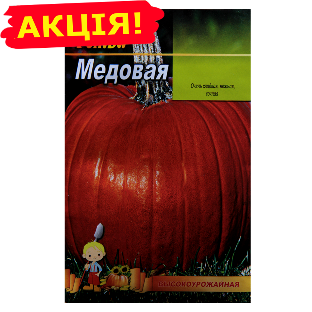 Тыква Медовая Семена, Большой Пакет 10 Г — Купить Недорого на Bigl.ua ...