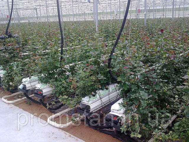 Купити Капельник, профілі для теплиць, лотки для овочів, ціна - Prom.ua ...