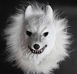 Маска білого вовка: продажа, цена в Львове. Карнавальные маски от ...