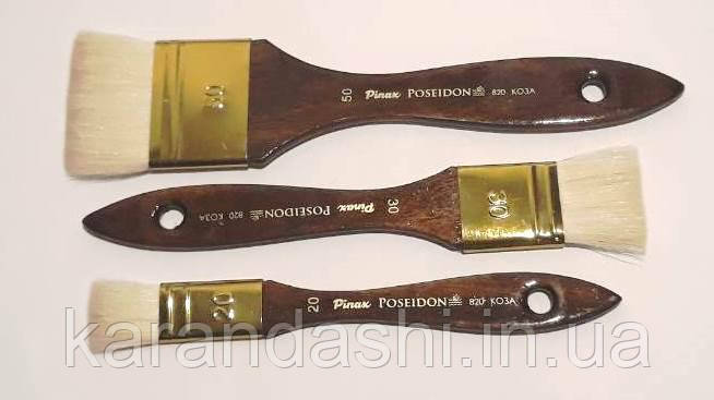Кисть Pinax POSEIDON КОЗА № 50 Флейц сер 820, ціна 312 грн — Prom.ua ...