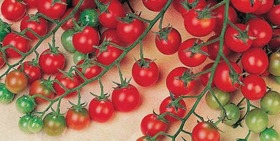 Сладкий миллион, цена: 3900 ₴, купить на Prom.ua