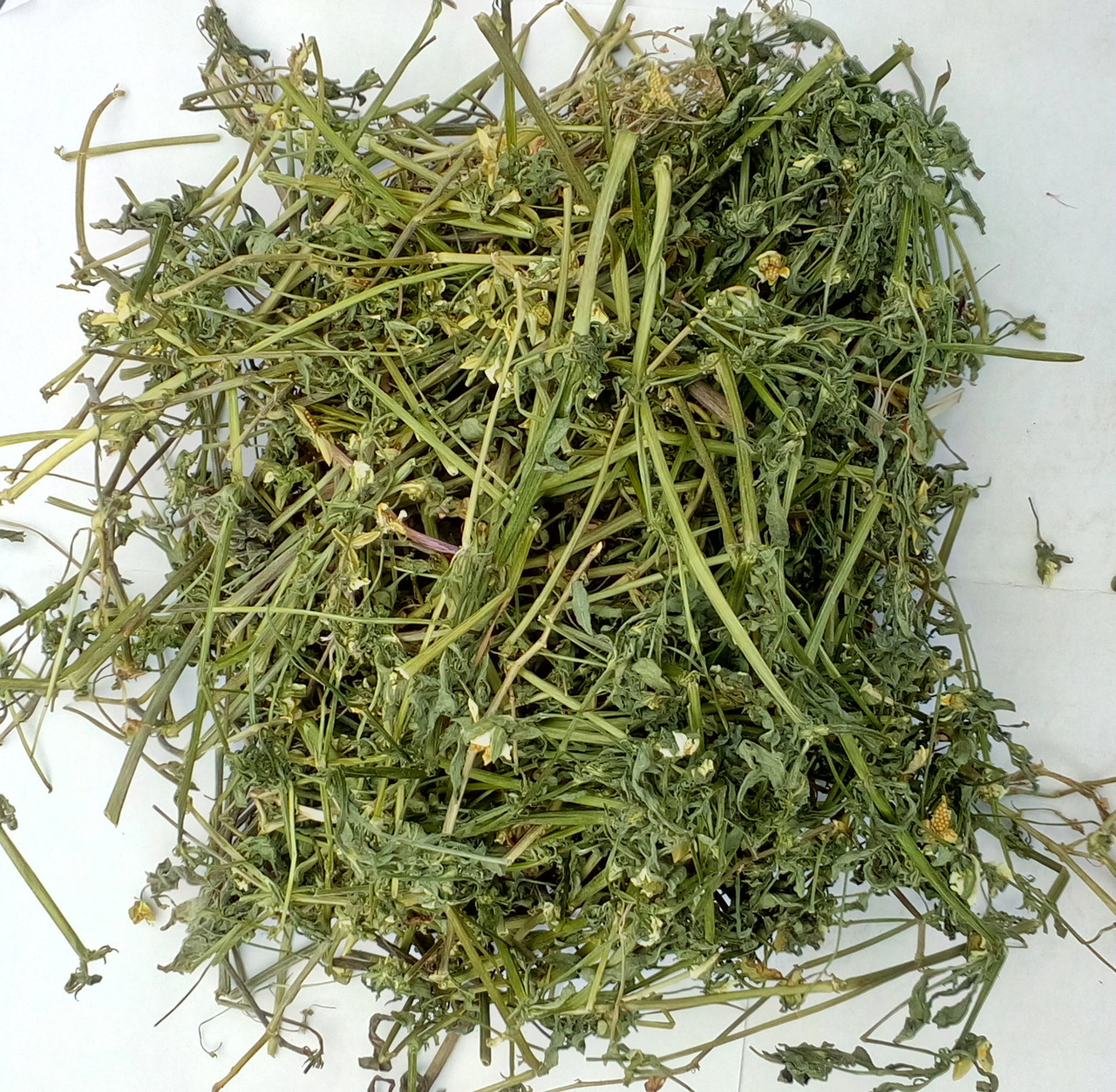 Фиалка трехцветная 100г. (ID#726681404), цена: 35 ₴, купить на Prom.ua
