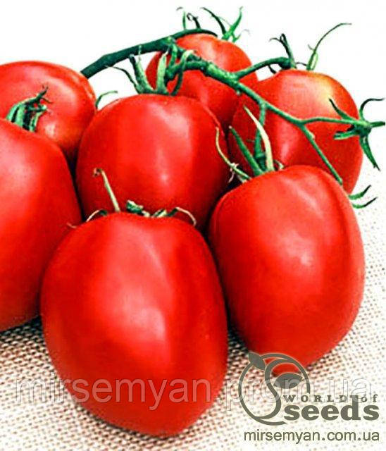 Купити Томат «Які» F1 1000 насінин, Семініс, (Seminis), ціна 591.36 ...