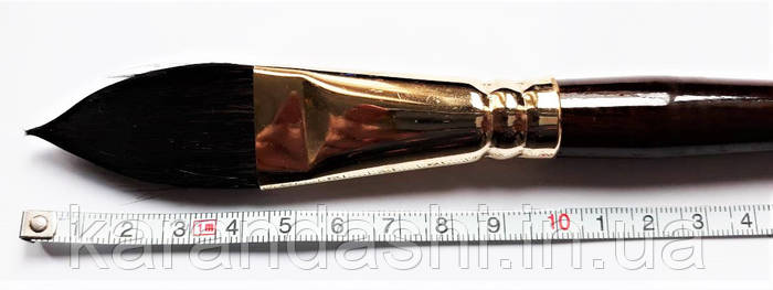 Кисть Pinax Poseidon 826 БЕЛКА микс ПЛОСКООВАЛЬНАЯ ЯЗЫК № 24, цена 420 ...