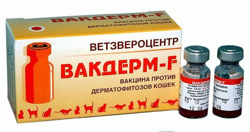 Вакцина для кошек Вакдерм-F (Vacderm-F) - 1 доза - купить по лучшей ...