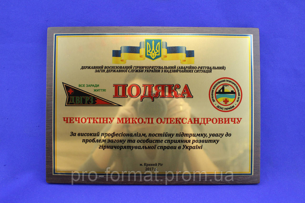 Подяка Плакетка на металі Плакетки на дереве Поздравительные сертификаты дипломы грамоты на