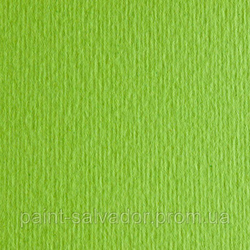 Картон кольоровий для пастелі Elle Erre 10 verde pisello А3 (29,7х42 см ...