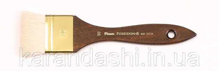 Кисть Pinax POSEIDON КОЗА № 50 Флейц сер 820, ціна 312 грн — Prom.ua ...