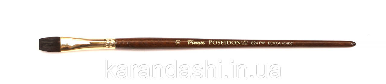 Кисть Pinax Poseidon 824FW БЕЛКА микс № 10 Плоская (ID#753208081), цена ...