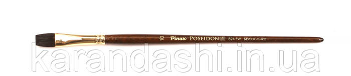 Кисть Pinax Poseidon 824FW БЕЛКА микс № 10 Плоская (ID#753208081), цена ...