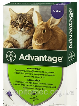 Капли от блох Bayer Advantage (Баер Адвантейдж) 80 для кошек от 4 кг и ...