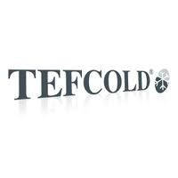 Минибар со стекляной дверью Tefcold ТМ 32G (ID#1703305), цена: 13052 ...