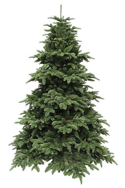 Искусственная ель Triumph Tree Abies Nordmann 2.15 м зеленая (ID ...