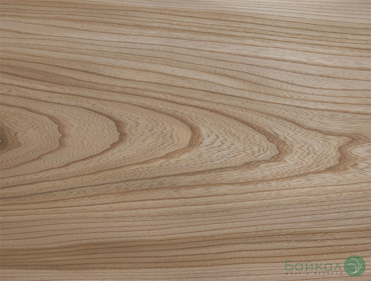 Пиленый шпон БЕРЕСТ (натуральный) Т: 4,5 мм | Д: 2,10 м+ | Ш: 12 см ...