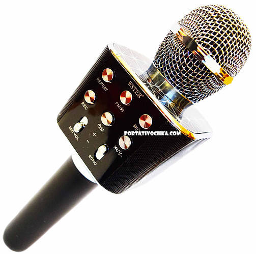Колонка караоке микрофон WSTER WS 1688, цена 679 грн — Prom.ua (ID#842850489)