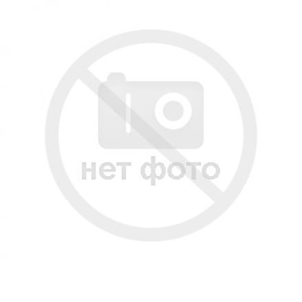 Купить Сальник коленвала ВАЗ 2101, 2106, 2107, НИВА 2121 (ЗАД. Б.), цена 105 ₴ — Prom.ua (ID ...