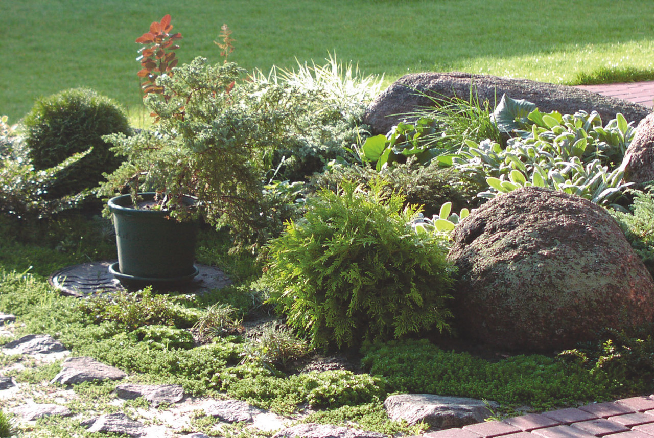 Купить Укладка плитки тротуарної, цена 150 грн — Prom.ua (ID#869836530)