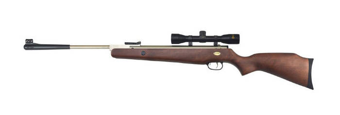 Винтовка пневматическая Beeman Silver Kodiak Gas Ram, цена 5417 грн ...