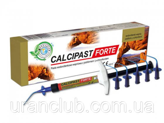 Купить Паста с гидроксидом кальция СALCIPAST Forte 2,1г (кальципаст ...