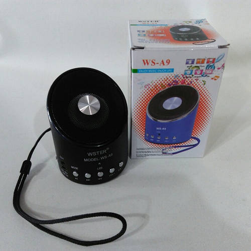 Музыкальная колонка WSTER WS-A9 MP3 + FM Radio (ID#902666577), цена ...