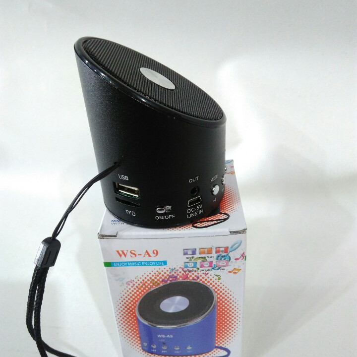 Музыкальная колонка WSTER WS-A9 MP3 + FM Radio (ID#902666577), цена ...