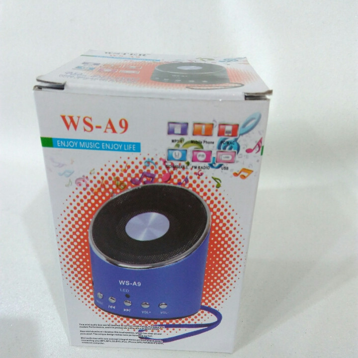 Музыкальная колонка WSTER WS-A9 MP3 + FM Radio (ID#902666577), цена ...