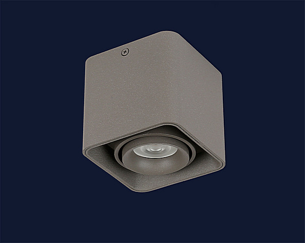 Накладной точечный светильник Levistella 9056601 GRAY (ID#902905837 ...