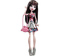 Кукла Monster High Boo York Frightseers Draculaura Doll Монстер Хай ...