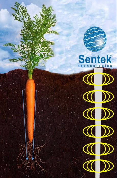 SENTEK DRILL & DROP TRISCAN PROBE 60cm(SE600S), цена — Prom.ua (ID ...