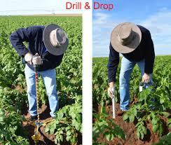 SENTEK DRILL & DROP TRISCAN PROBE 60cm(SE600S), цена — Prom.ua (ID ...