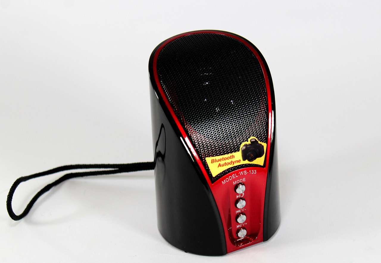 Портативная колонка WSTER WS-133 С BLUETOOTH, MP3 плеером и радио ...