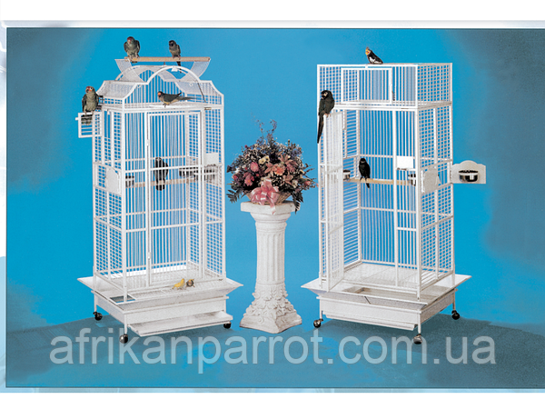 Kings cages 206 Afrikan Parrot 945994633