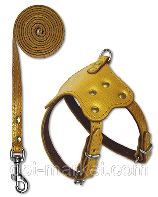 Комплект шлейка и поводок для декоративных пород маленькая (ID#94146611 ...
