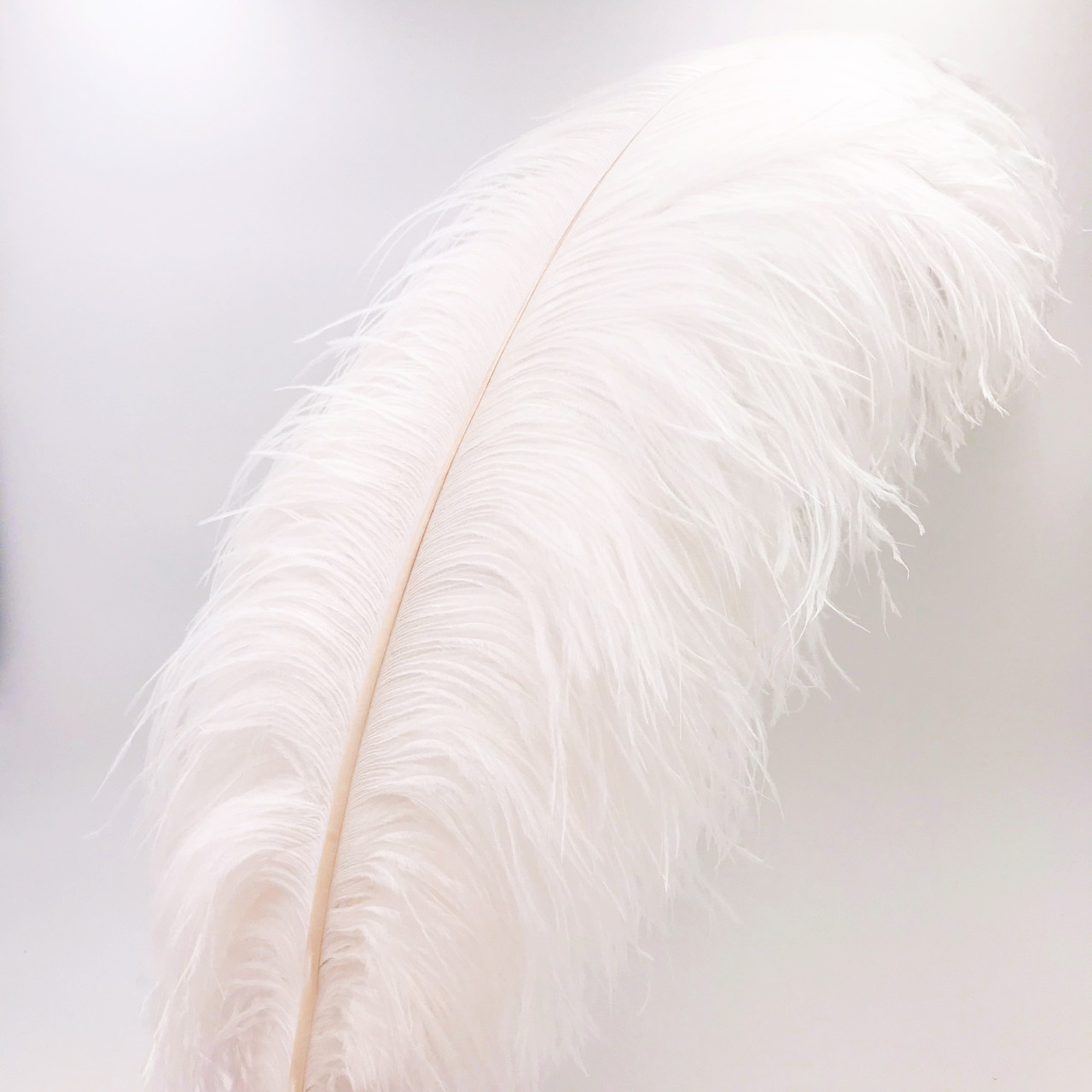 Большие страусиные перья Люкс 55-60 см белые купить за лучшею ценой