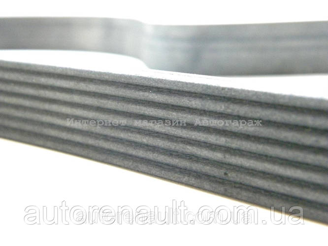 Ремень генератора на Рено Меган III 1.6 dCi - CONTITECH (Германия ...