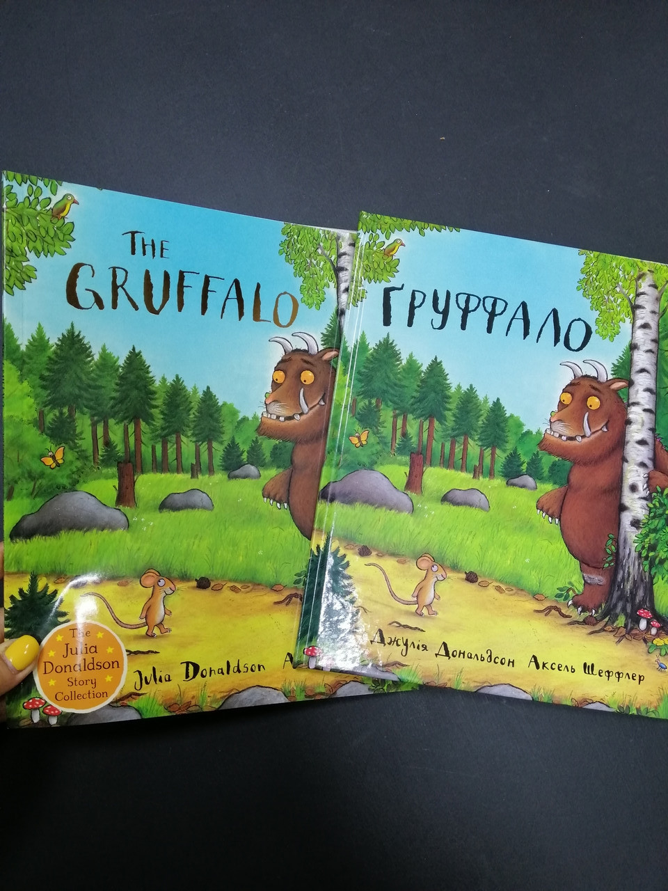 The Gruffalo by Julia Donaldson and Axel Scheffler/ Груффало. Джулія ...