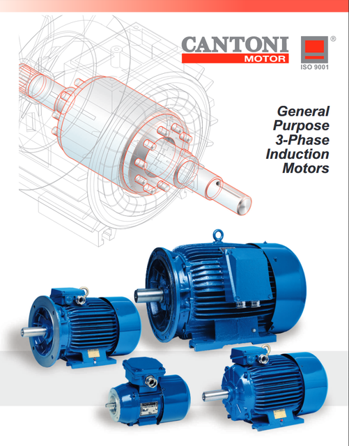 2Sg Sg Sh серия | Трехфазные двигатели общего назначения IE1 с короткозамкнутым ротором.