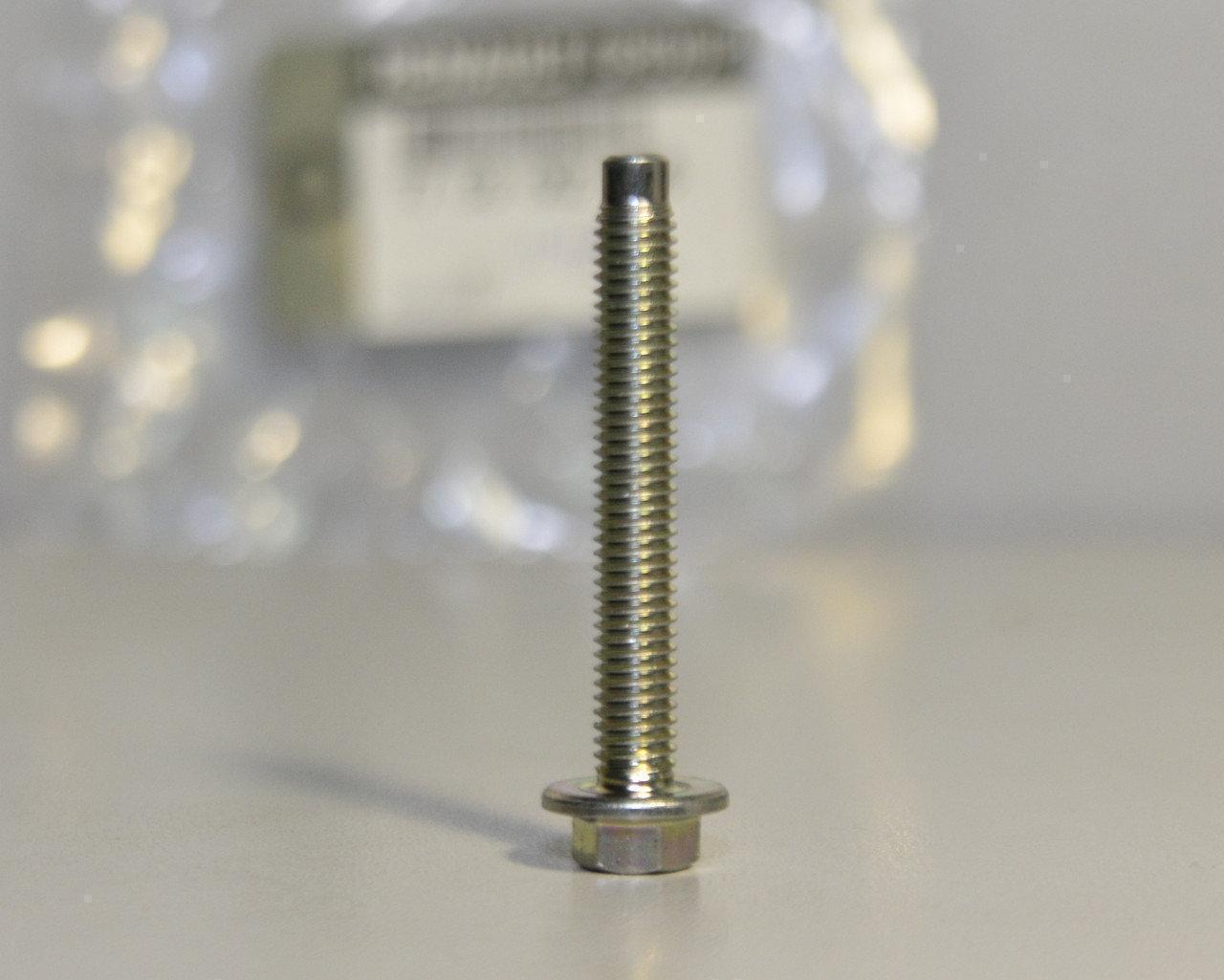 Болт кріплення розподільчого валу на Renault Clio II 1998->2005 ...