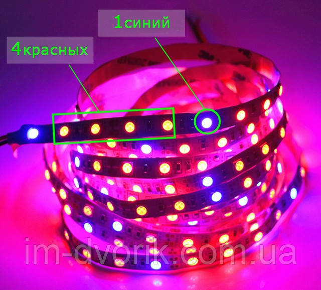 Светодиодная ФИТО лента 12В 5050(60LED/м) IP20 (4 красных/1 синий ...