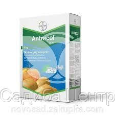 Фунгіцид АНТРАКОЛ,1кг Bayer (ID#1102313264), цена: 700 ₴, купить на Prom.ua