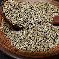 Кумин семена (зира): продажа, цена в Виннице. Пряности, специи ...