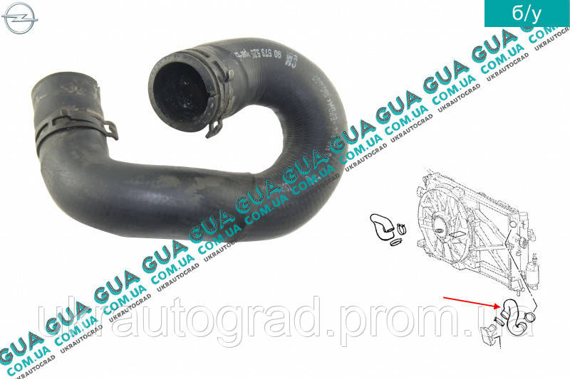 Купить Патрубок / шланг радиатора правый 90573525 Opel / ОПЕЛЬ ASTRA G ...