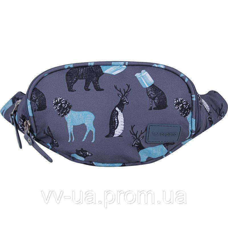Сумка на Пояс Бананка Bagland Мужская Женская Поясная для Бега Барсетка ...