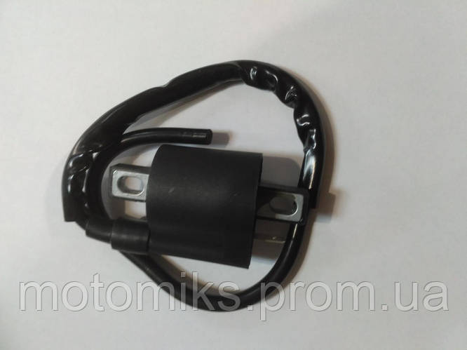 Катушка зажигания Delta 110 (ID#1137276886), цена: 220 ₴, купить на Prom.ua